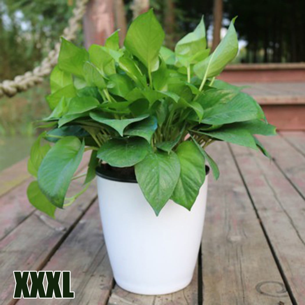 Self-Watering Flower Pot Plastic Imitation Porcelain Planter with Inner ...