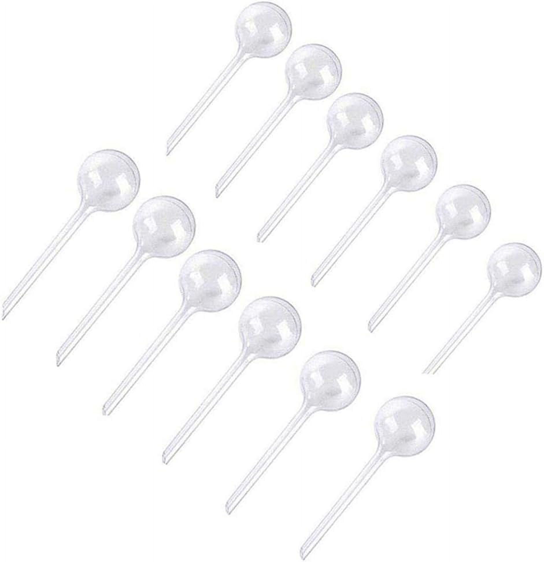 Self-Watering Plant Watering Bulbs, Clear Self-Watering Globes ...