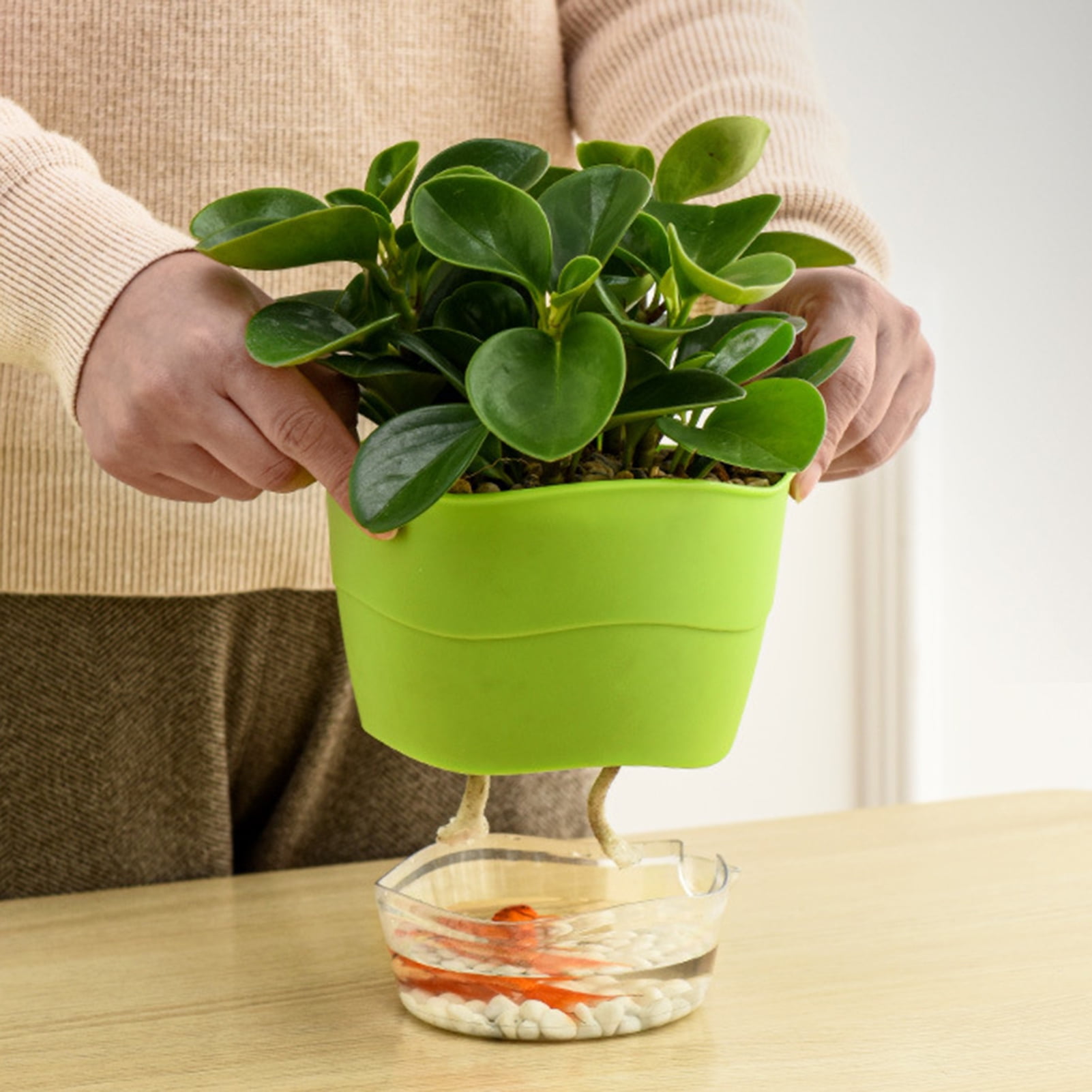 Self Watering Planter for Indoor Plants, Modern Decorative Plastic ...
