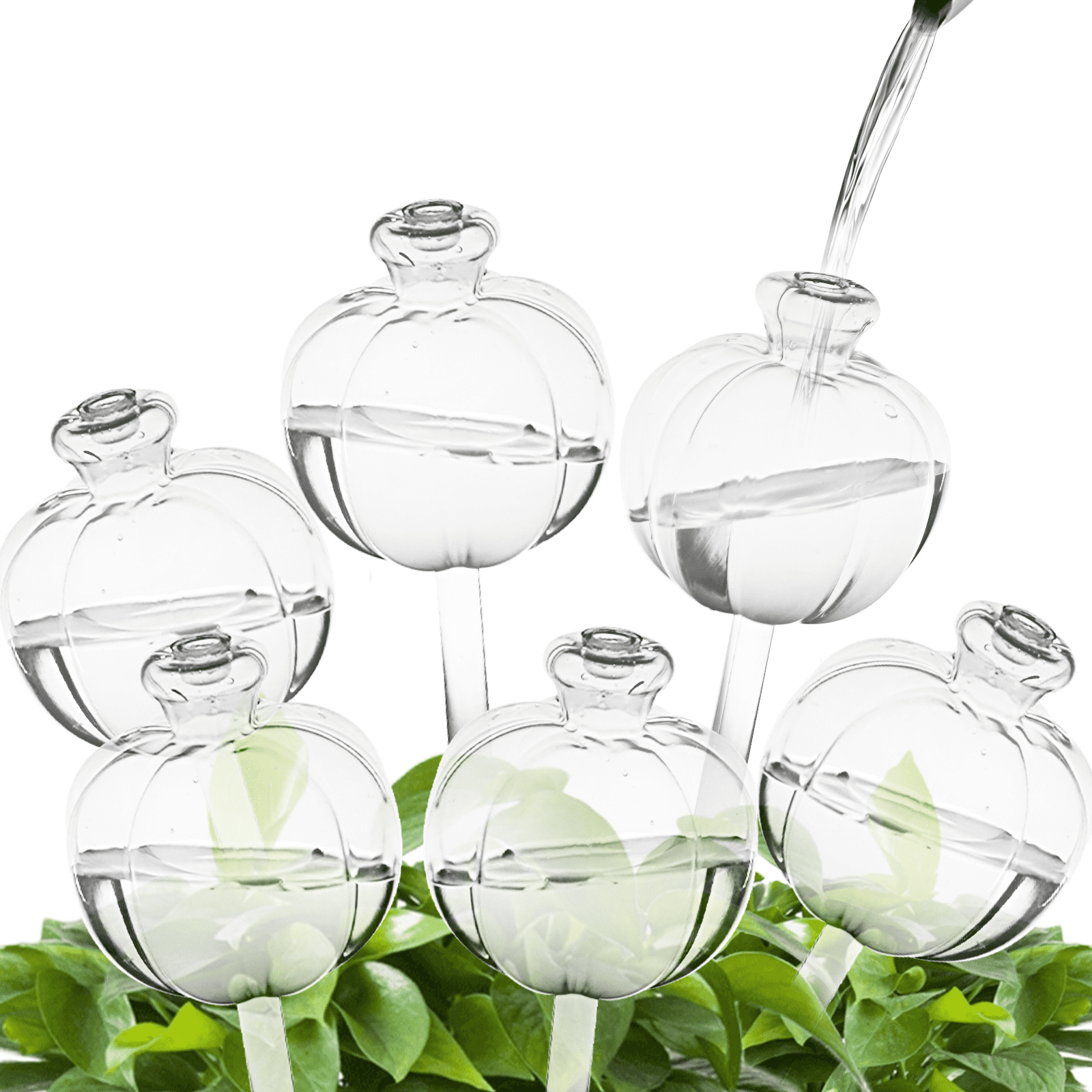 6 Pack Self Watering Plant Globes, Automatic Top-Fill Bulbs for Indoor ...