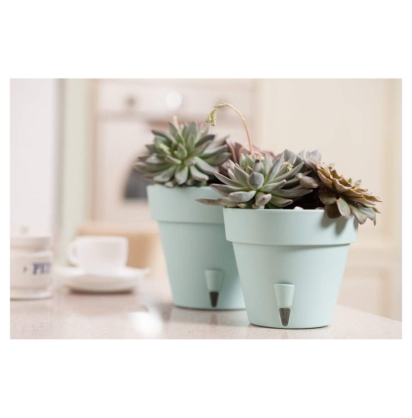 Self Watering Planter Latina 12.8 Inch Shade Flower Pot with Bottom ...