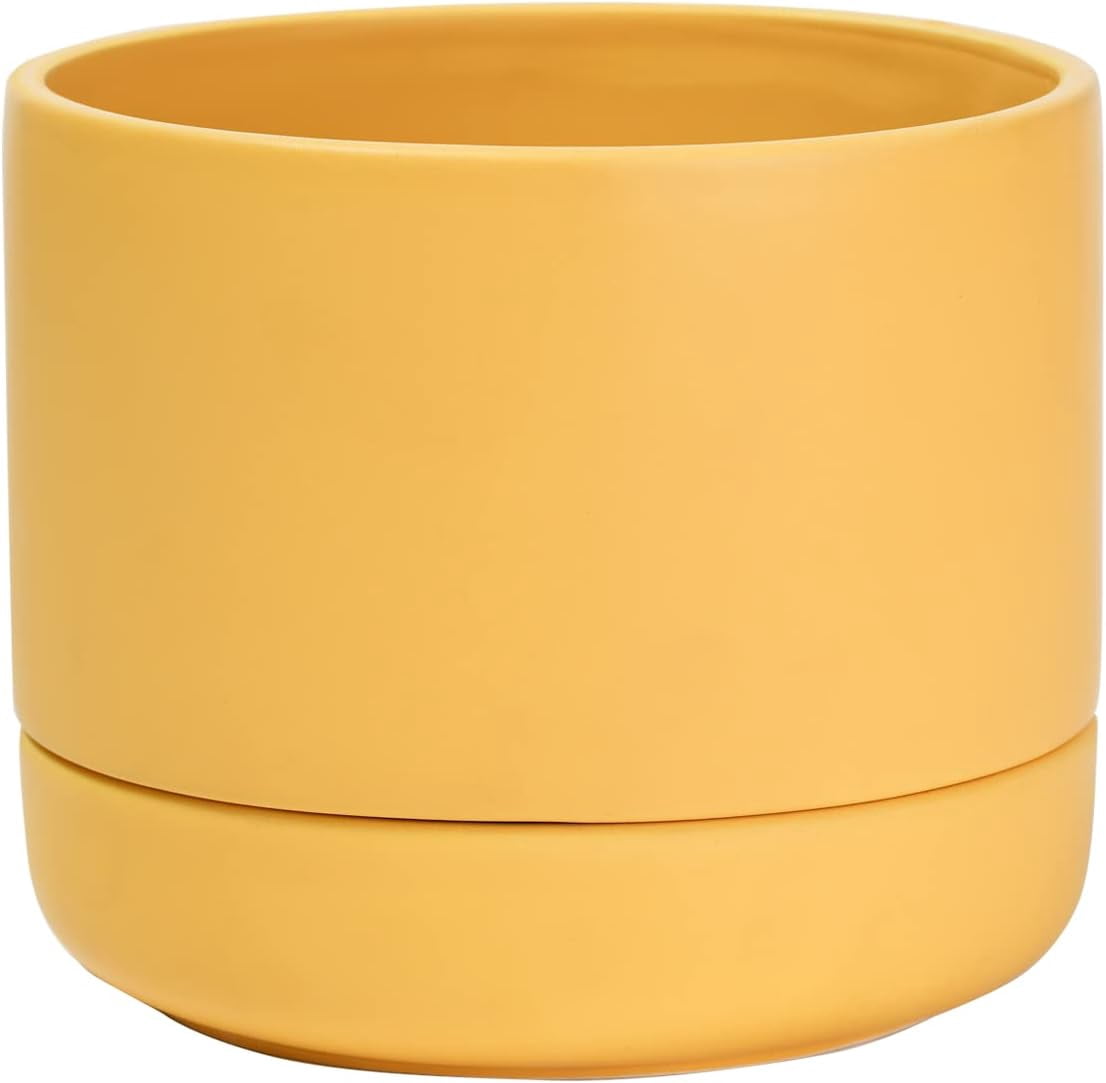 Self Watering Planter Pot for 4" and 6" , Modern Indoor Planter ...