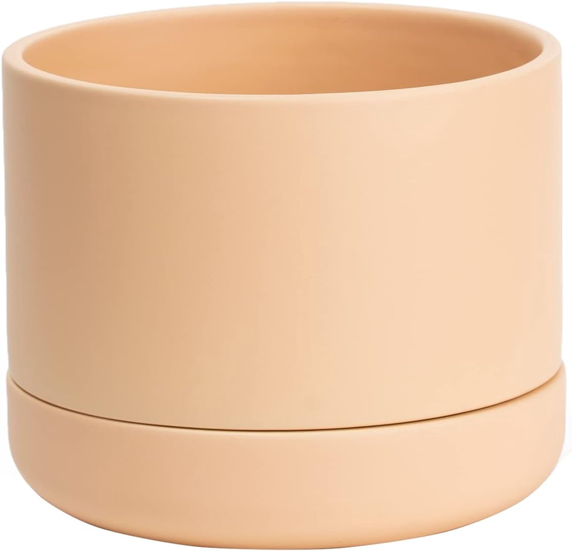Franklin Self Watering Planter Pot for 4" and 6" Plants, Modern Indoor ...