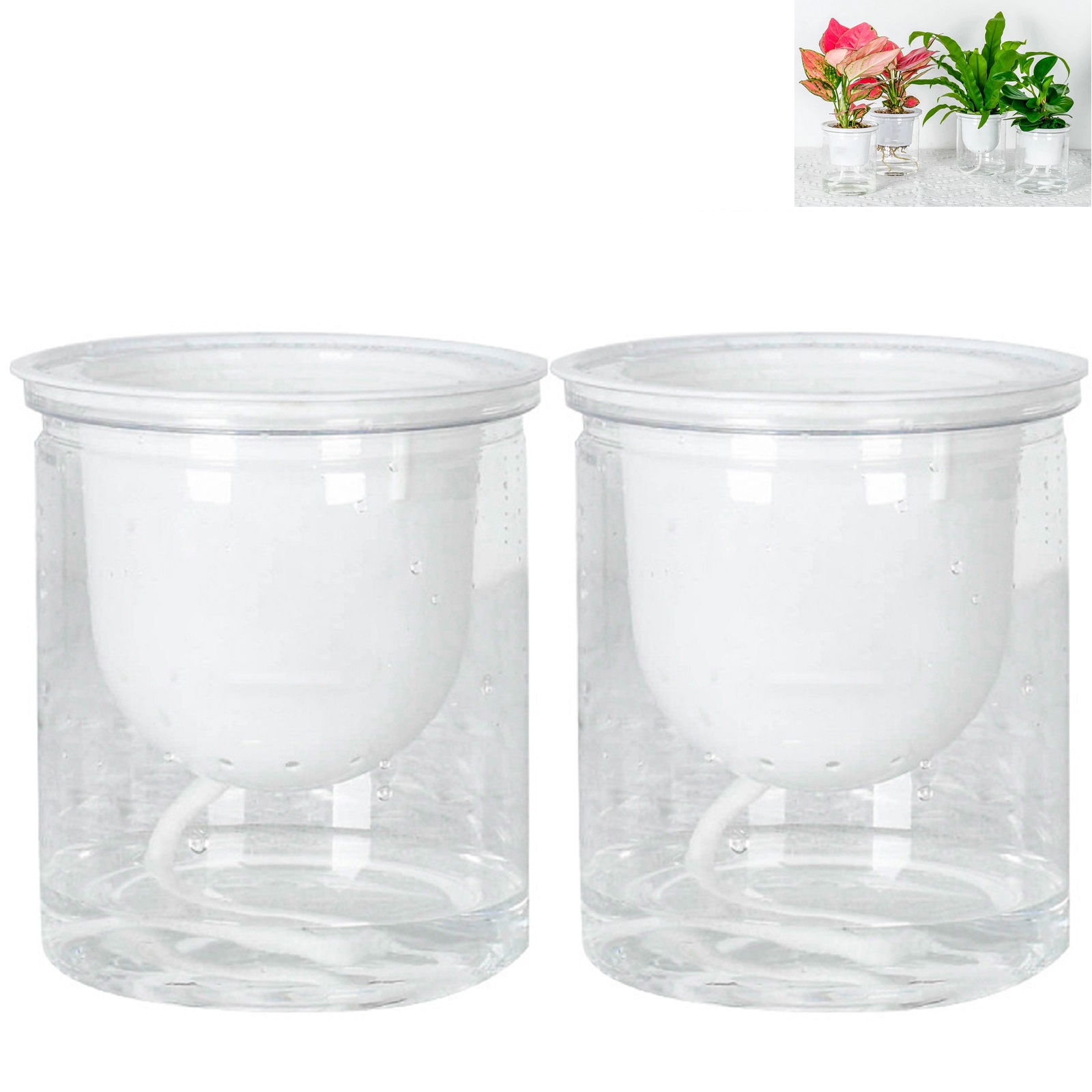 Self Watering Planter Violet Pots Clear Plastic Automatic-Watering ...