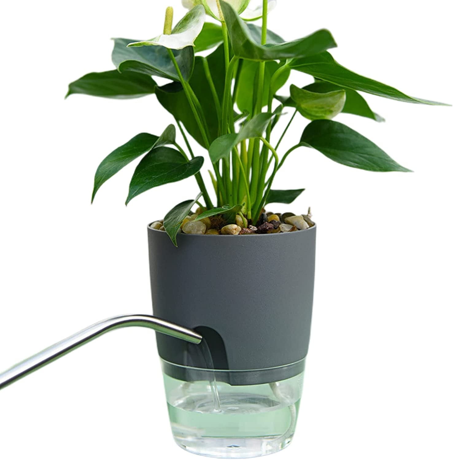 Self Watering Planters, 6 inch Plant Pots for Indoor, Automatic ...