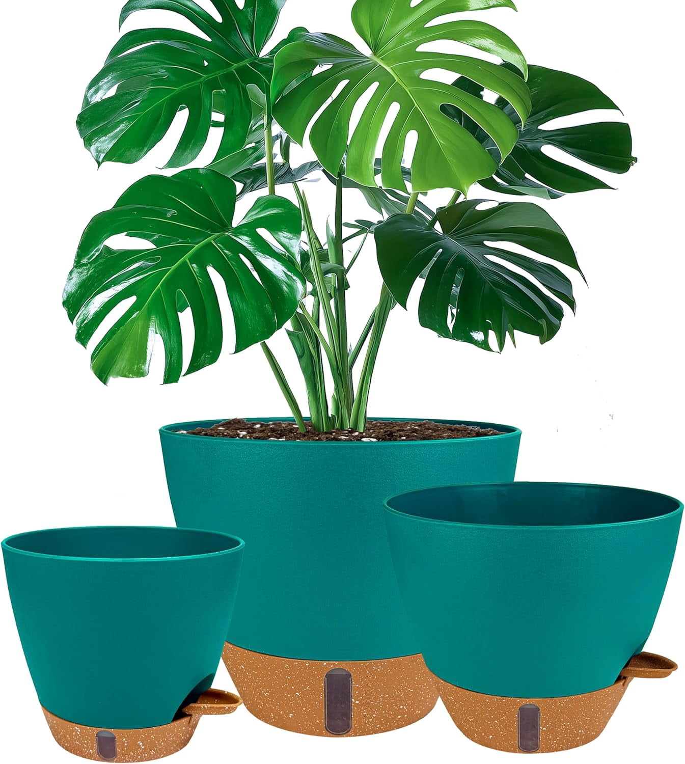 Self Watering Planters for Indoor and Outdoor Plants - 8/10/12 Inch ...