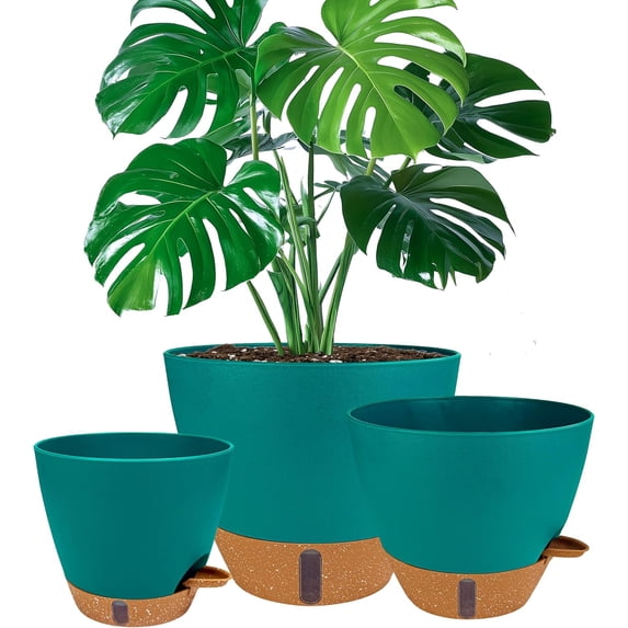 Self Watering Planters for Indoor and Outdoor Plants - 8/10/12 Inch ...