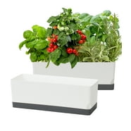 Rugg 25" x 9" x 9" Rectangle Cappuccino Resin and Plastic Window Box ...