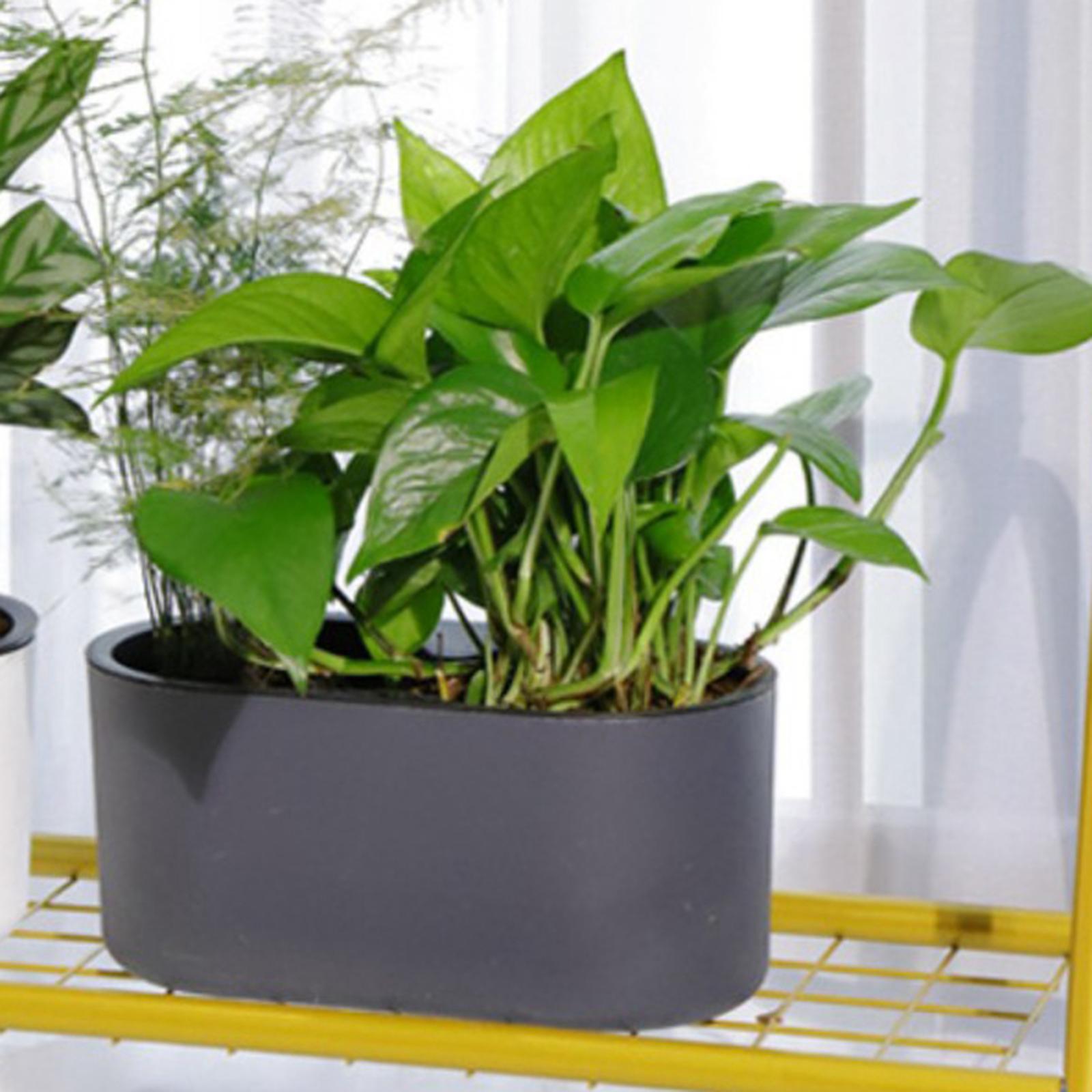 Self Watering Pler Small er Pl Pot with 2 Dual Hole, Indoor Table Pler ...