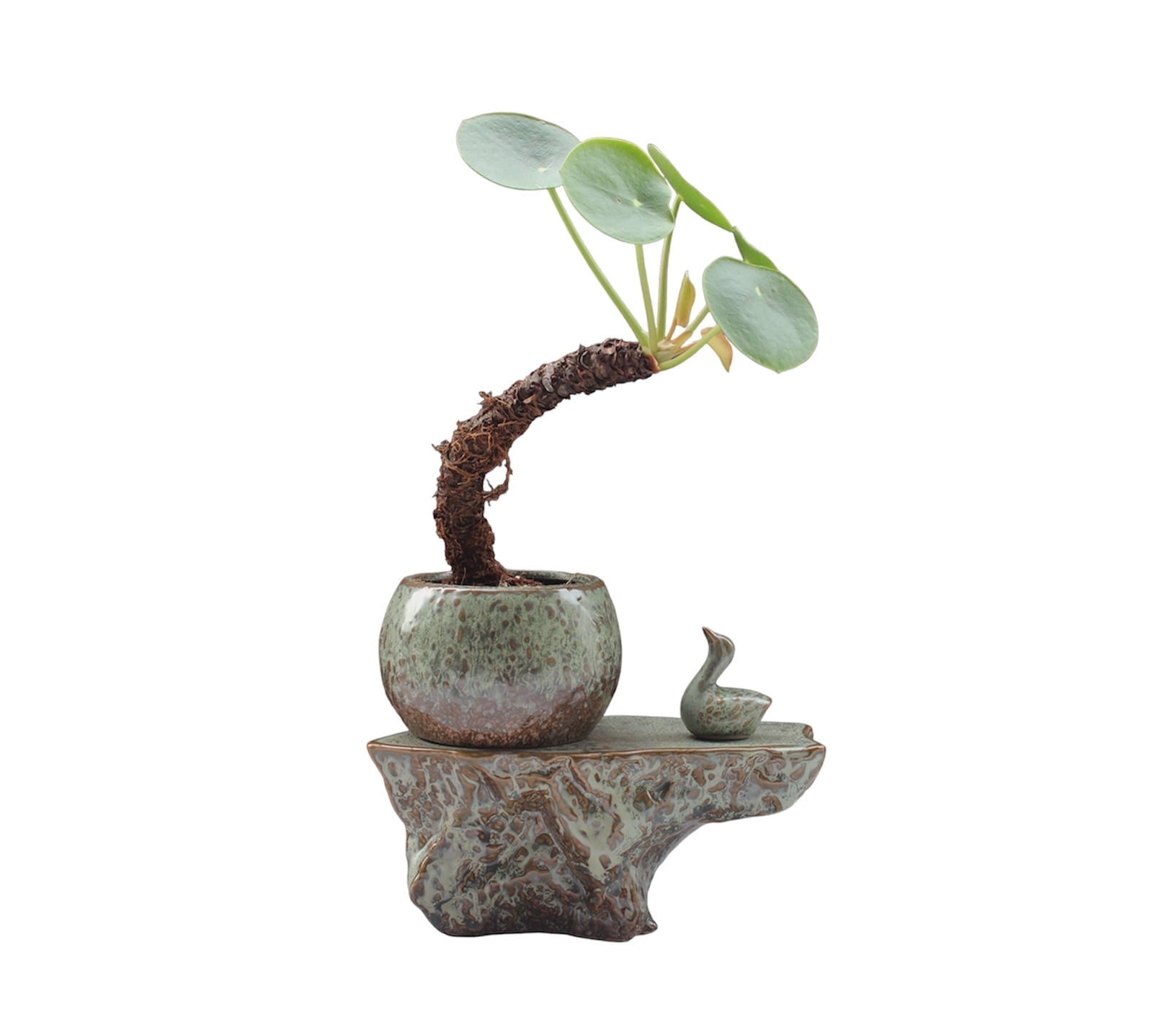 Cotta Planters Self-Watering Pot Set with Ceramic Plant Buddy Goose ...
