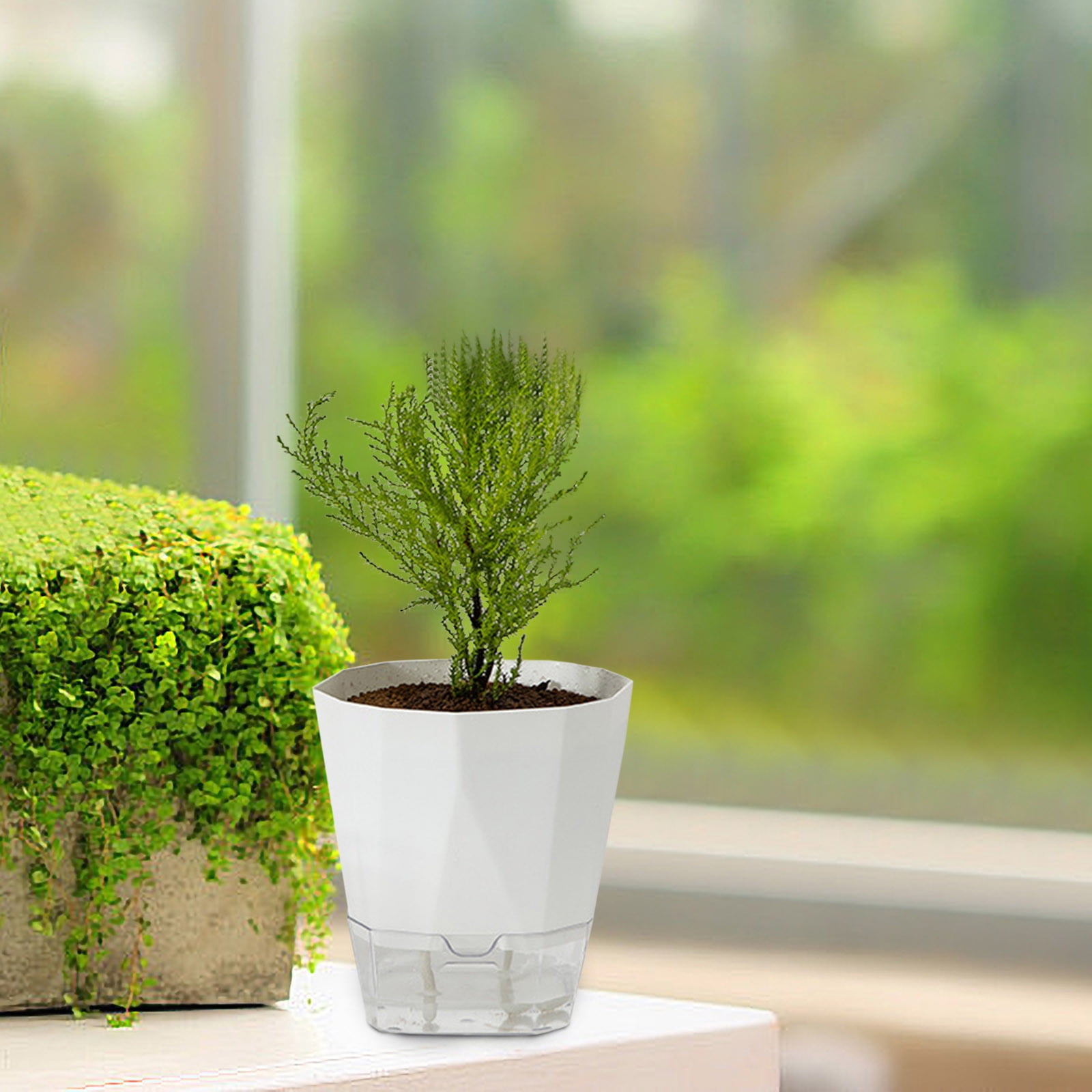 Self Watering Pots, Durable Transparent Household Plant Pot, Portable ...