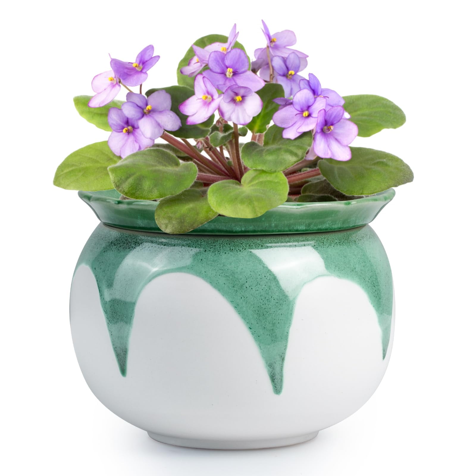 Self Watering Pots for Indoor Plants, 6 Inch African Violet Pots, Easy ...