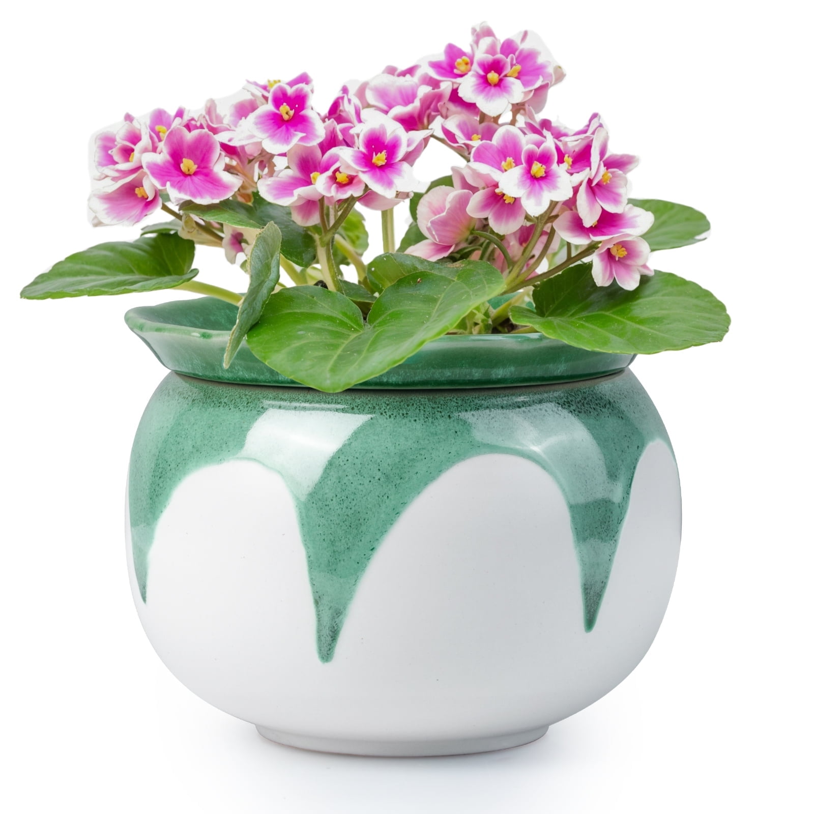 Self Watering Pots for Indoor Plants, 6 Inch African Violet Pots, Easy ...