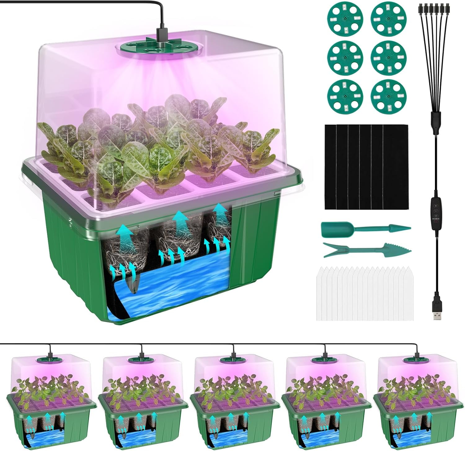 Self Watering Seed Starter kit with Grow Light, 6 Pack /72 Cells Seed ...