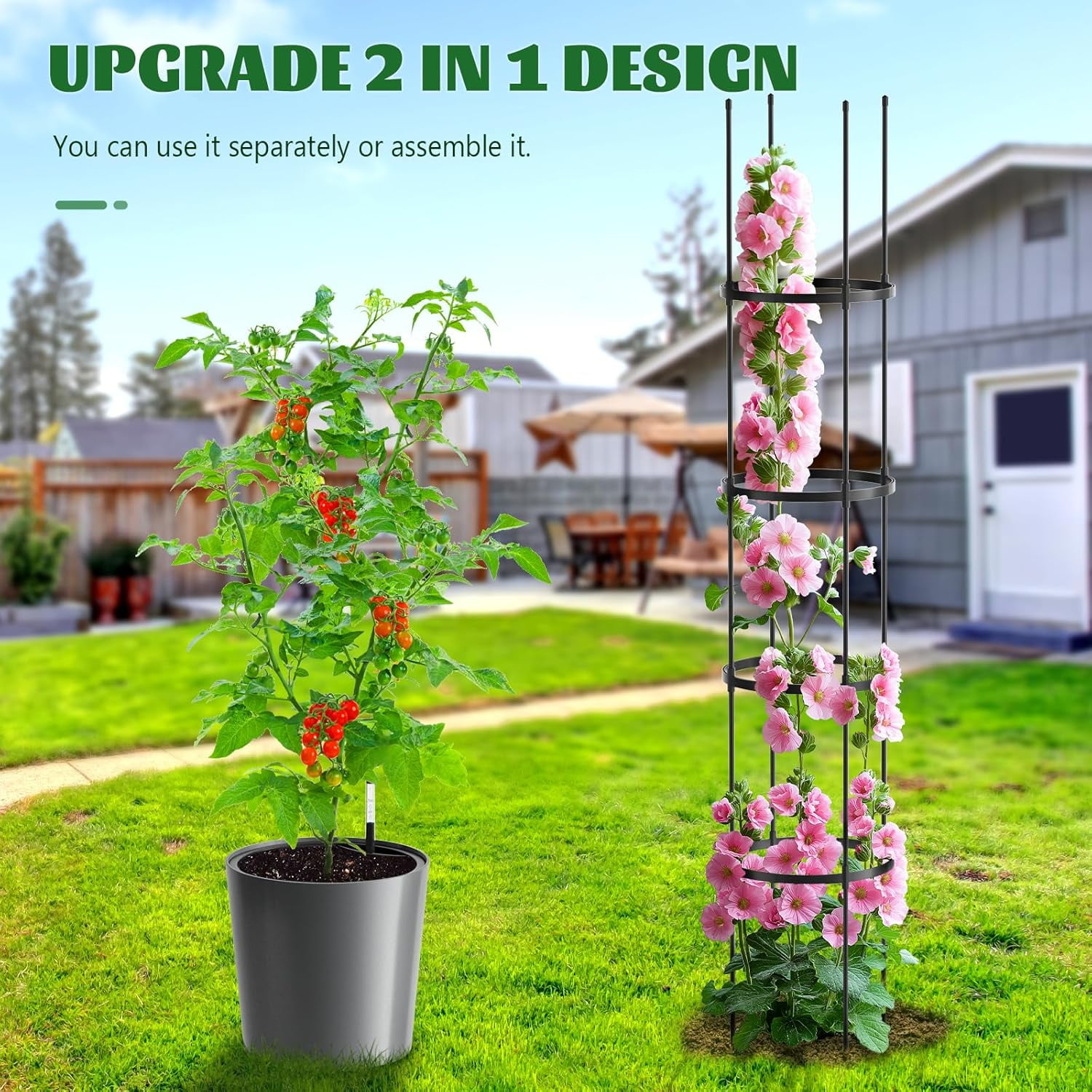 Self-Watering Tomato Planter with Trellis and Water Level Indicator ...