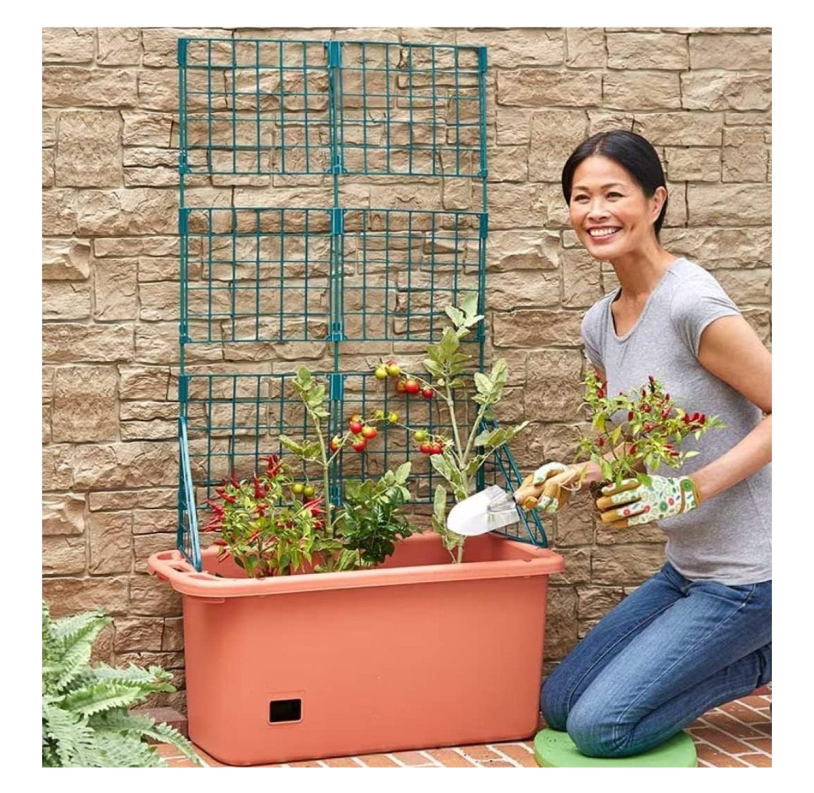 Self Watering Vegetable Planter Box with Trellis on Wheels - Mobile ...