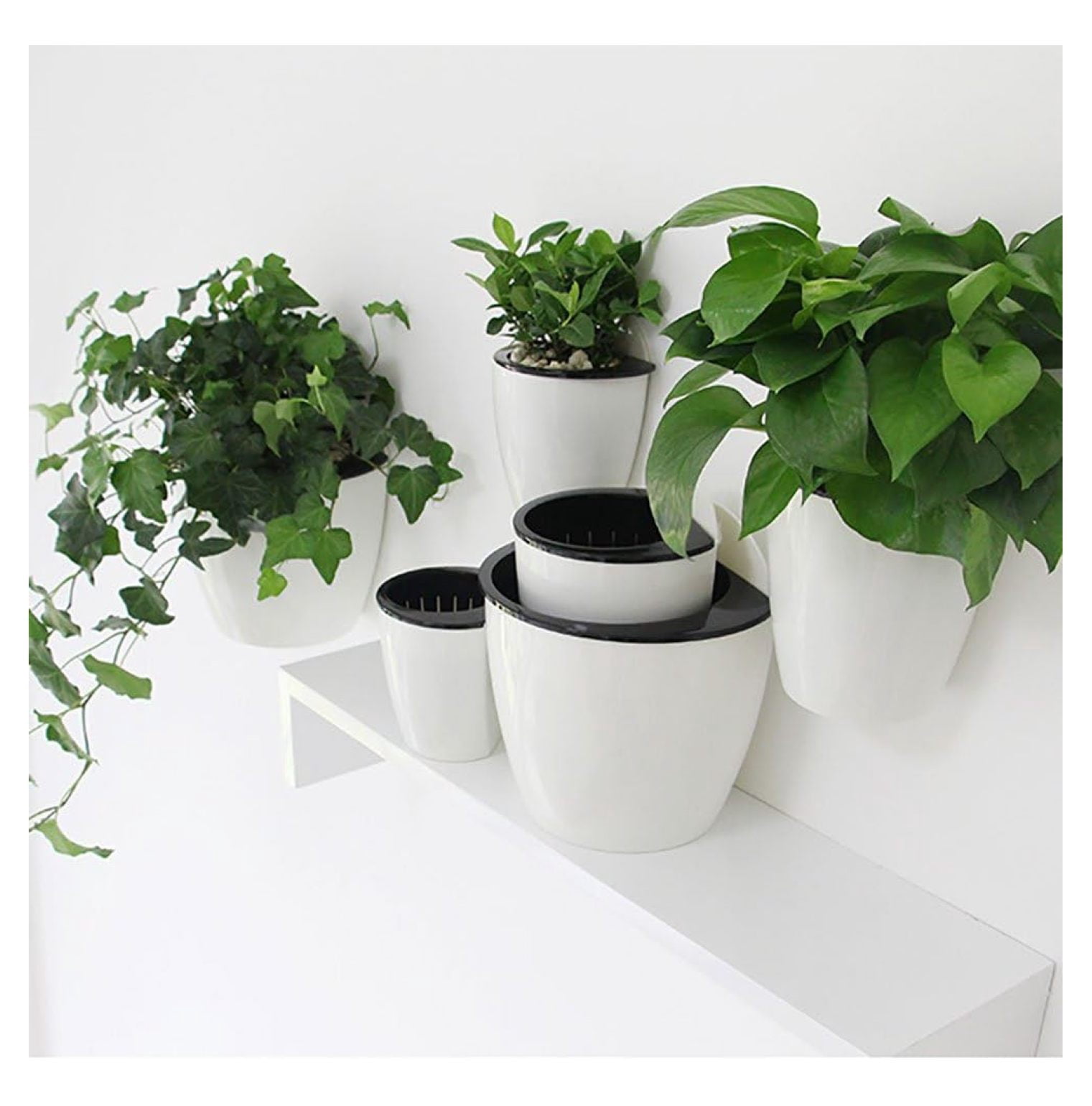 Self Watering Wall Planter - Modern White & 3PC Pack & Mixed Size ...