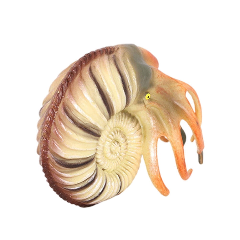 Self-adhesive Target Nautilus Model Conch Toy Ornament Child - Walmart.com