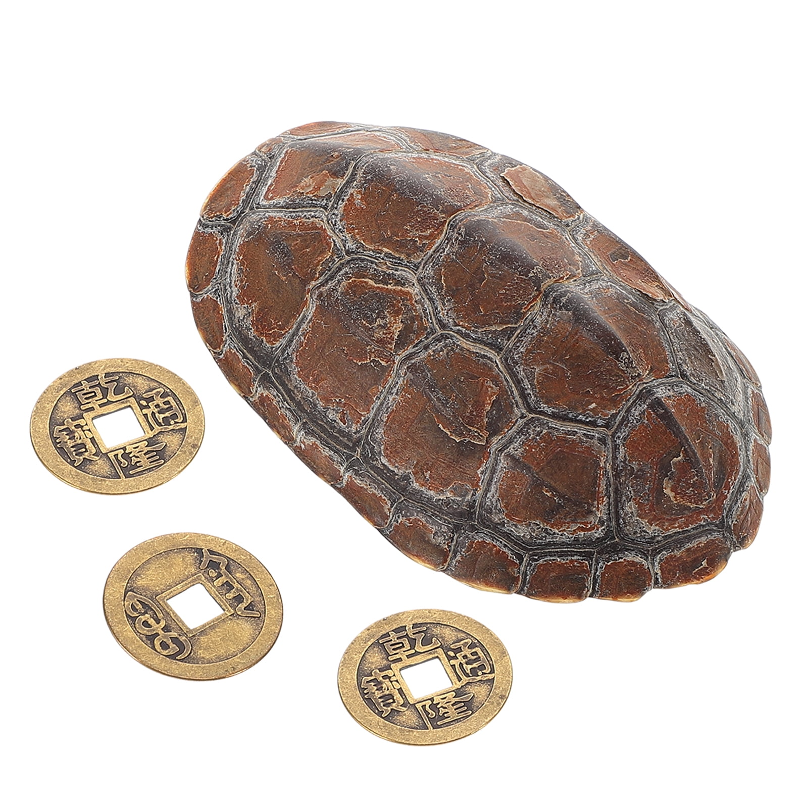 Self-produced Spray Head Divination Turtle Shell Office - Walmart.com