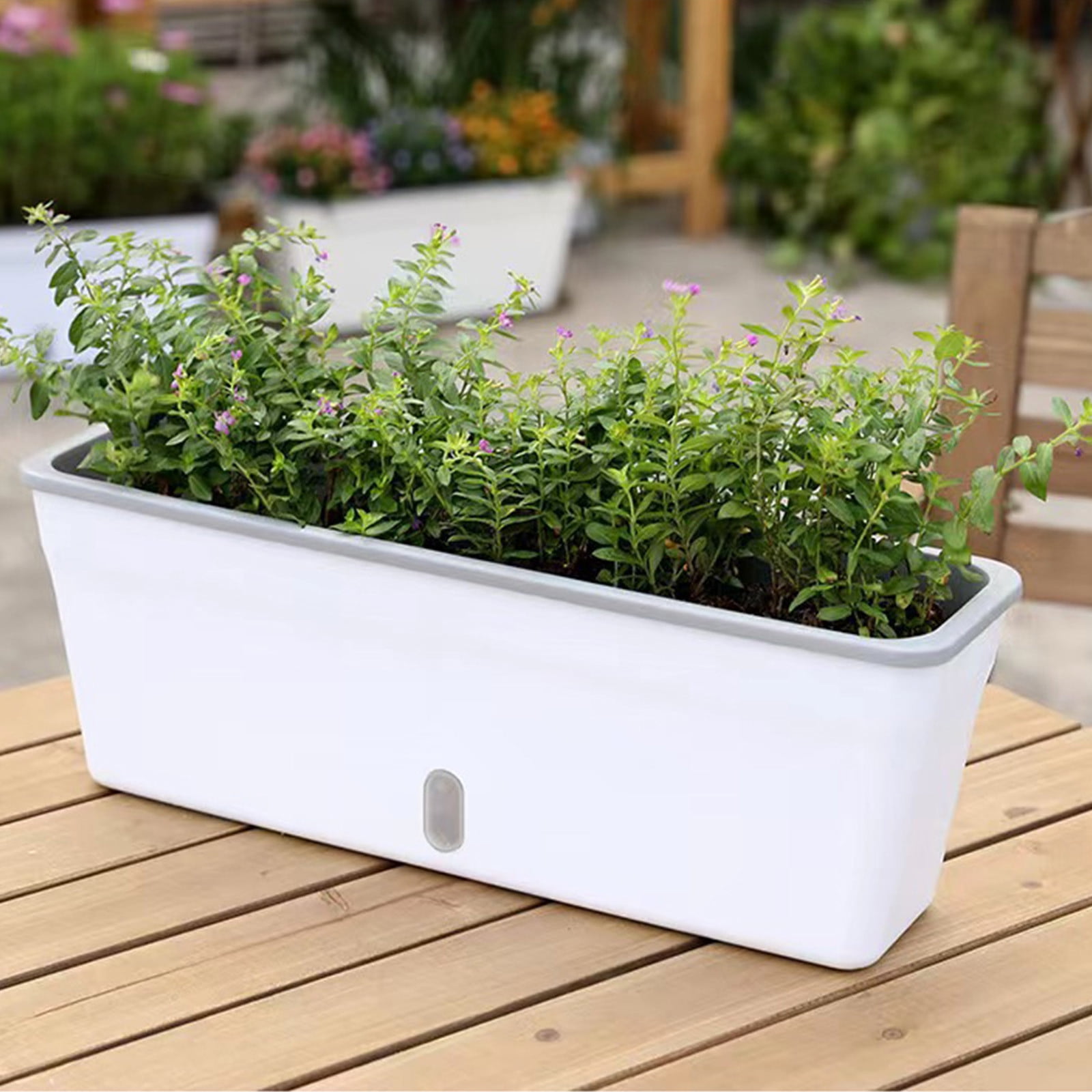 Self-watering Planters for Vegetables Rectangular Plastic White Flower ...