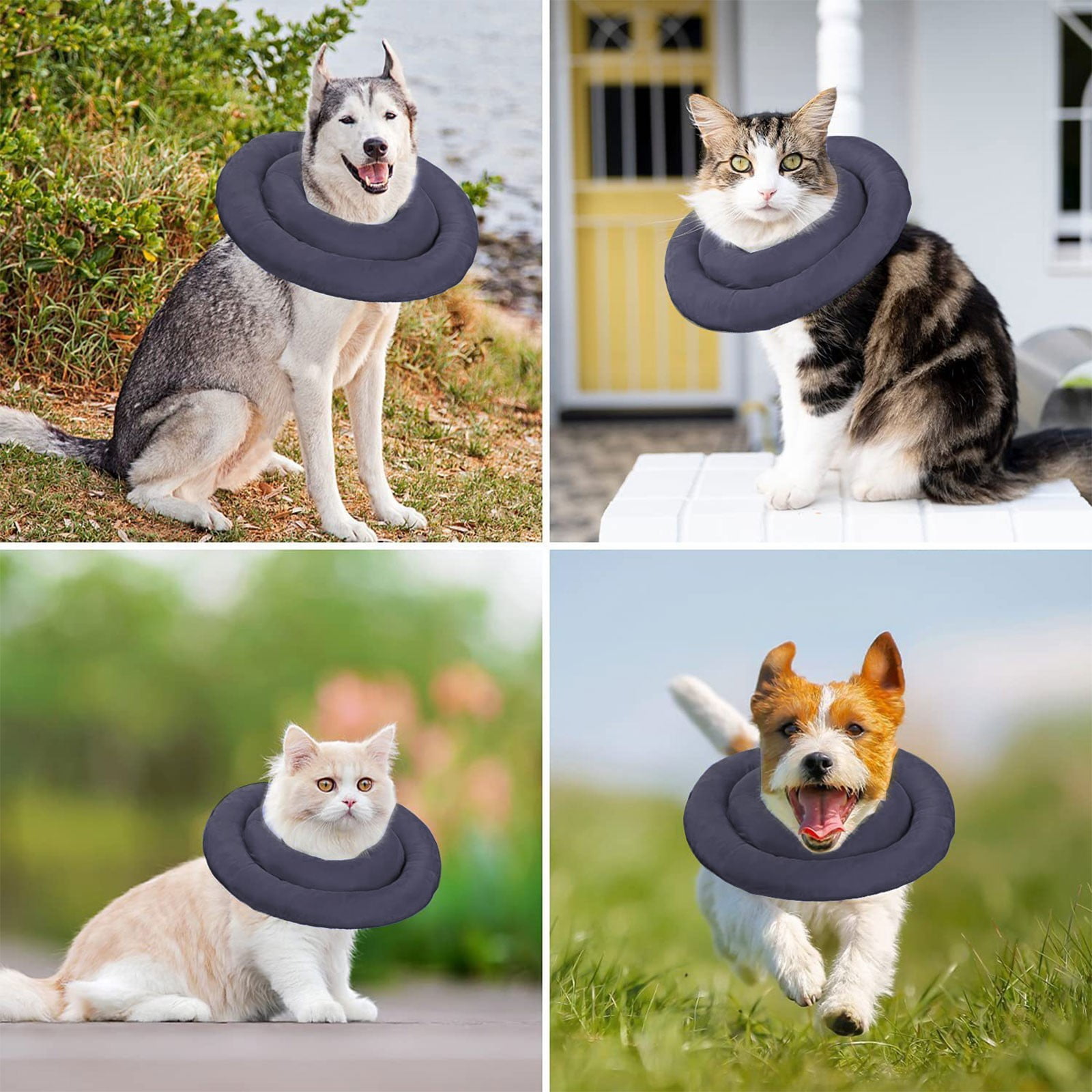 Sell At 30% Discount Thin And Lightweight Ring Cat Dog Pet Collar ...