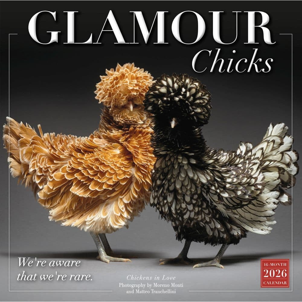 Sellers Publishing, Glamour Chicks 2026 Wall Calendar, 12'' X 12'', 16 ...