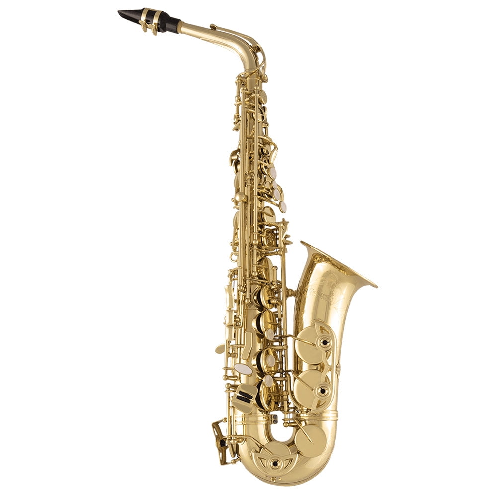 Selmer Model SAS711 Professional Alto Saxophone in Clear Lacquer ...