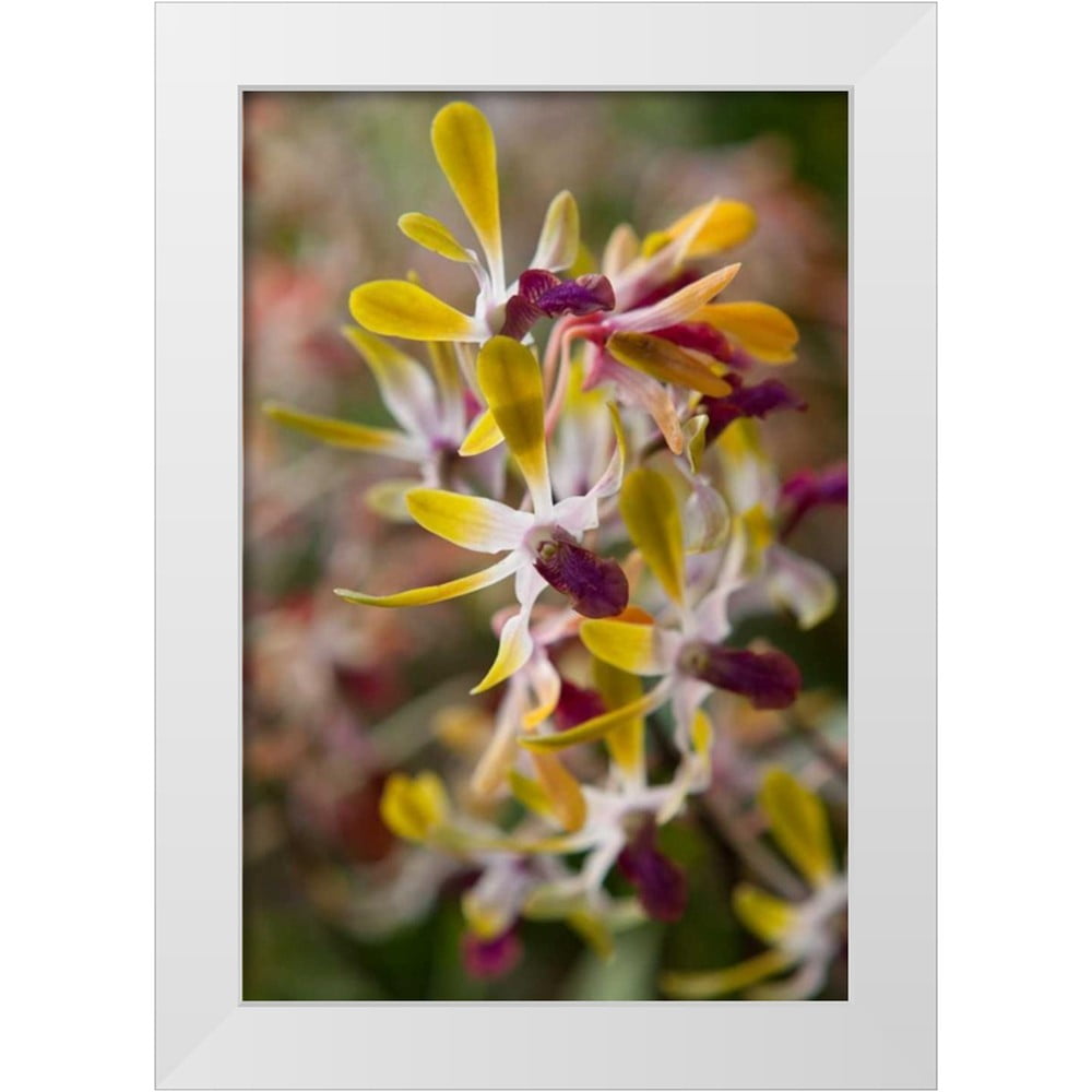 Semenza, Marlana 17x24 White Modern Wood Framed Museum Art Print Titled ...