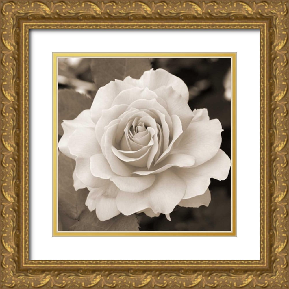 Semenza, Marlana 26x26 Gold Ornate Wood Framed with Double Matting Museum Art Print Titled ...