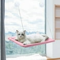 Semfri Mounted Large Shelf Cat Window Perch for Sill Pets Kitty Window ...