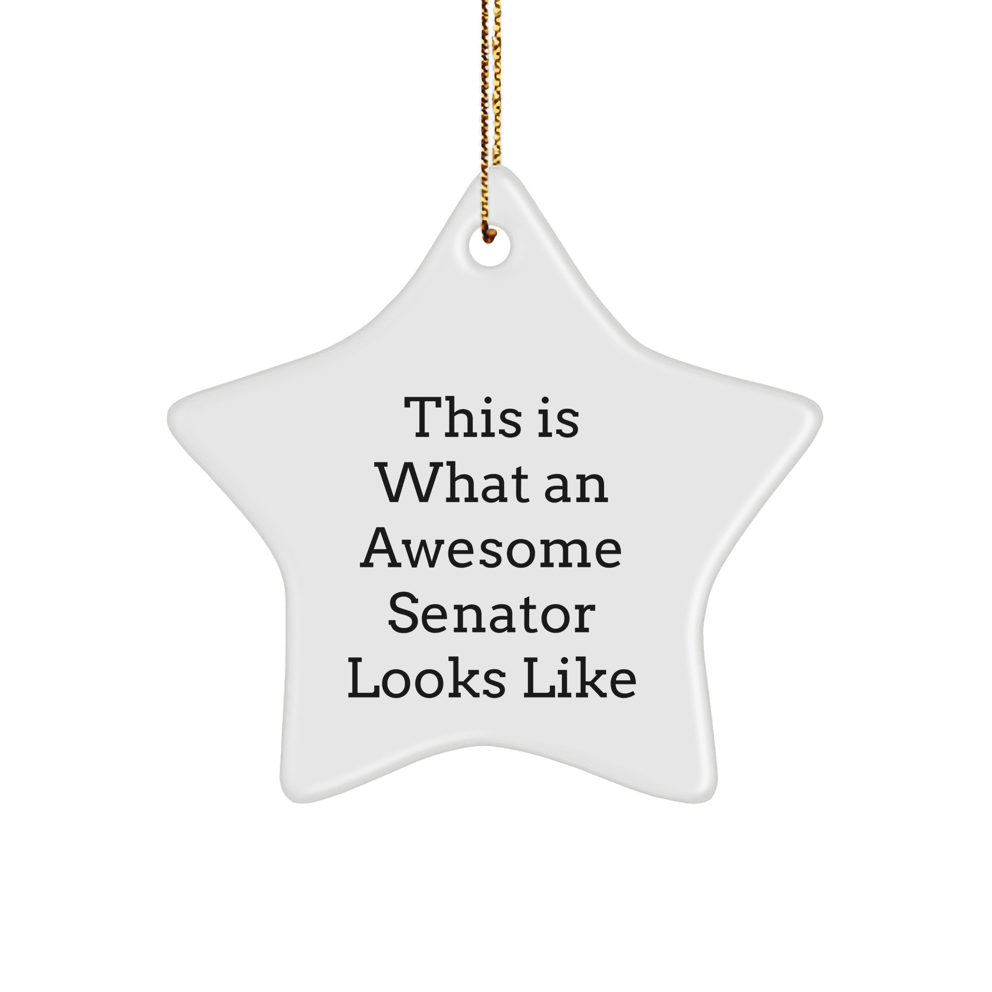 Senator Gifts from Friends for Christmas - Awesome Star Ornament with ...