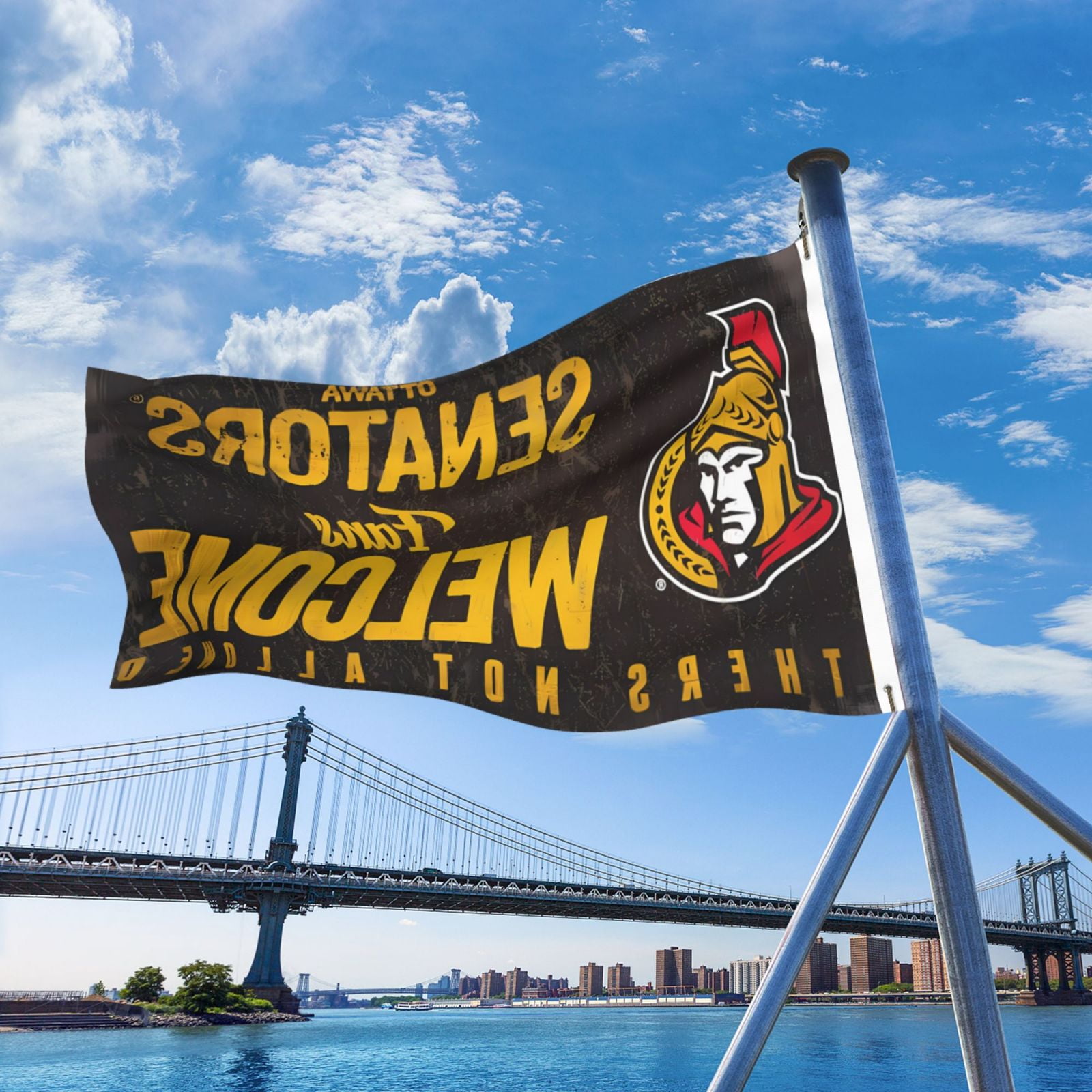 Senators Hockey Team Four Seasons Double Sided 5x8ft Flag for Hockey ...