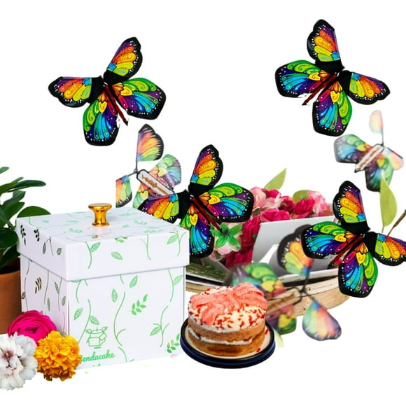 Flying Butterfly Gift Box