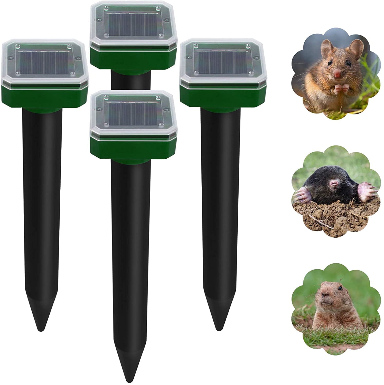 Senew Pet Safe Pack of 4 Sonic Mole Repellent Solar Powered for Lawn ...