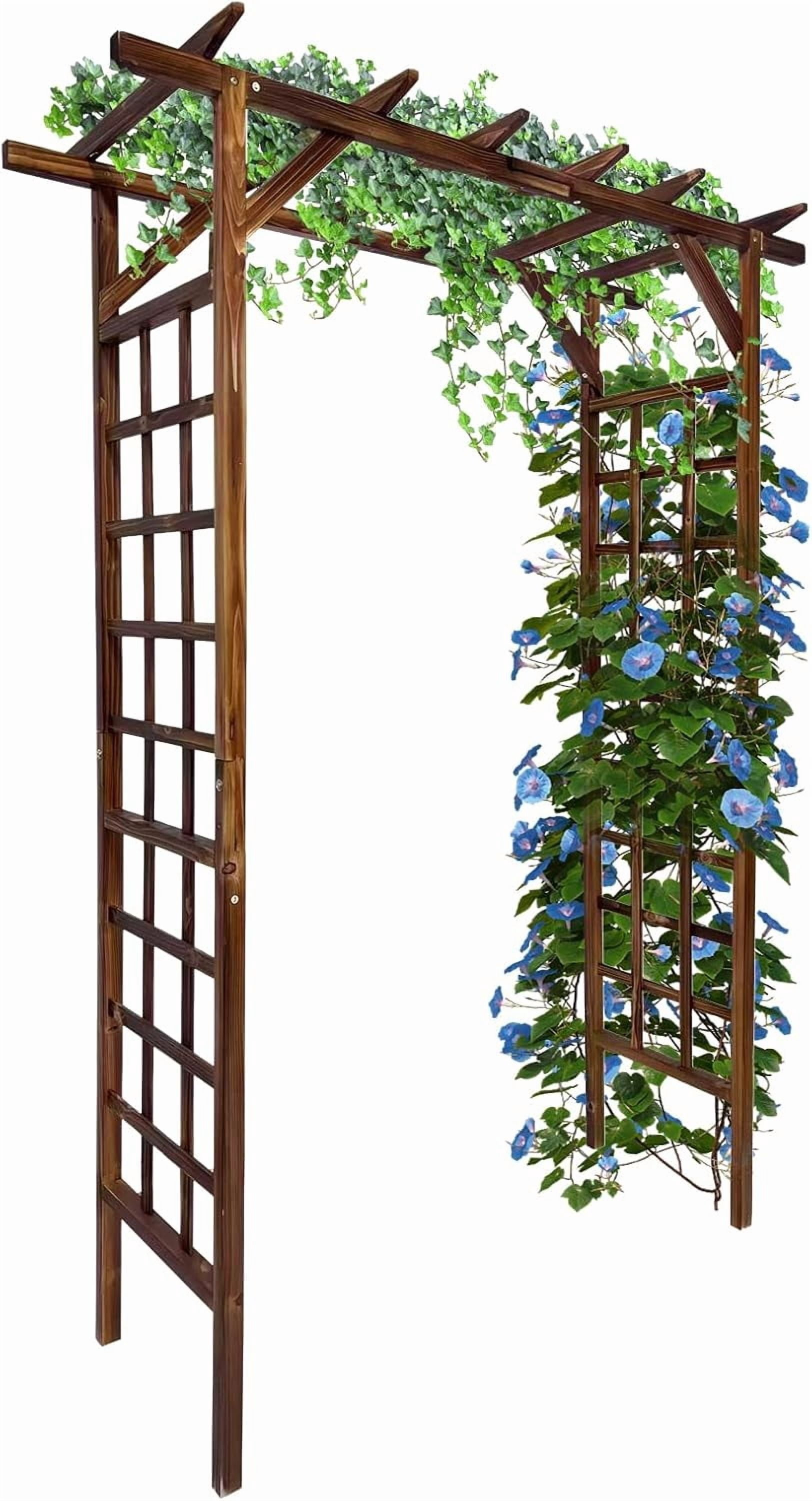 Senfot Charred Finish Flat Top Wood Garden Arbor Trellis for Backyard ...
