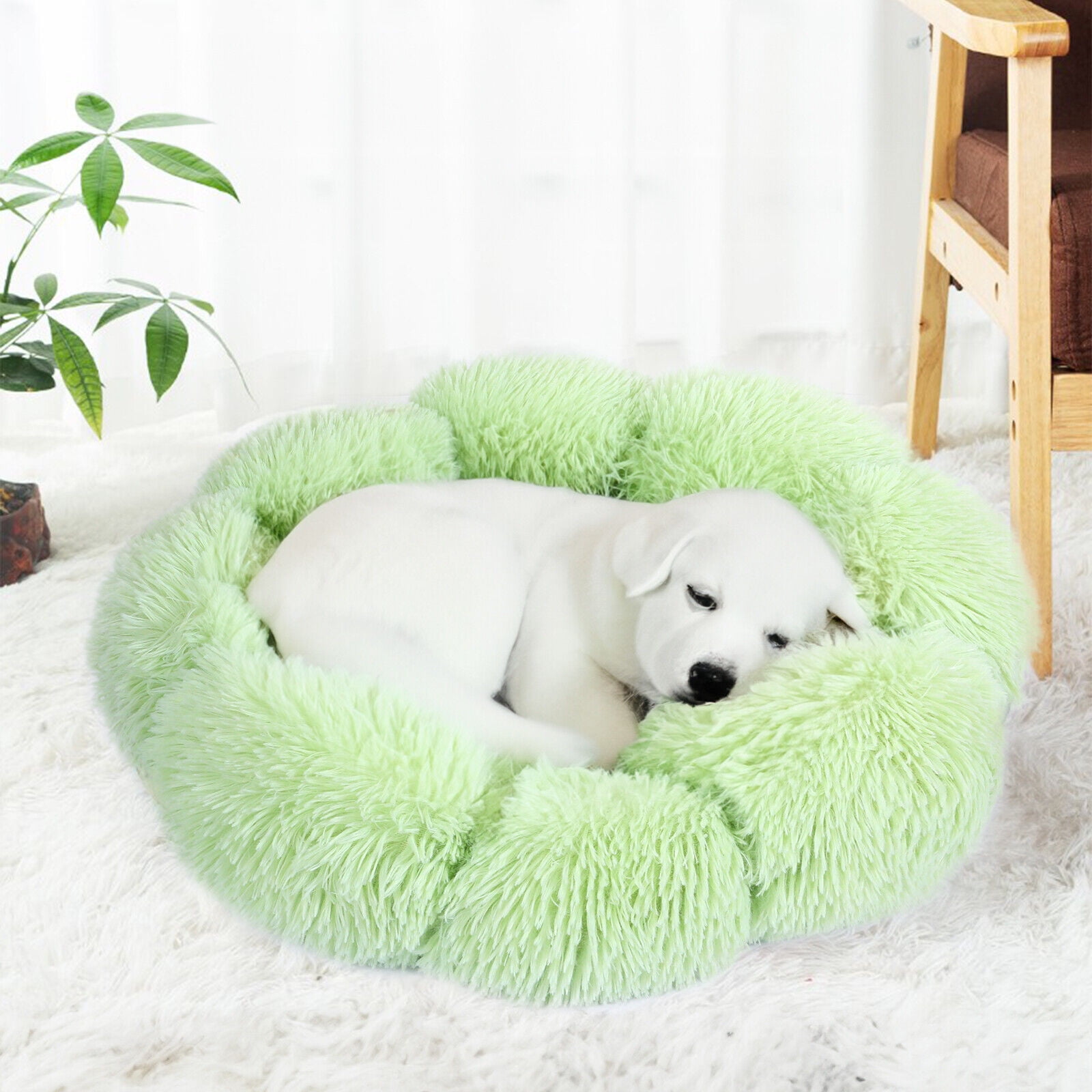 Sennaux Plush Dog Bed & Cat Bed Cozy Soft Flower-Shape Pet Bed,Green,23 ...