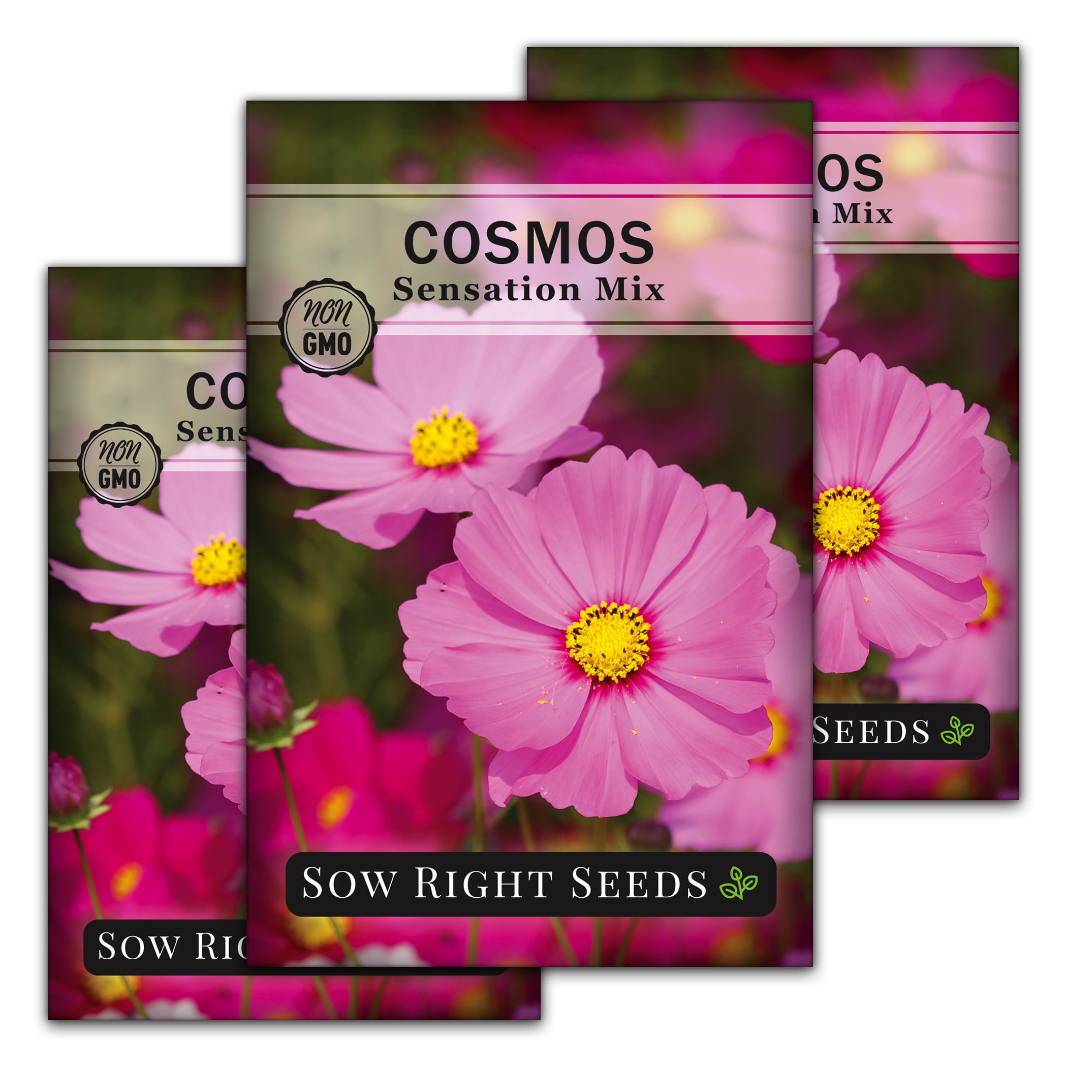 Sensation Mix Cosmos Seeds - Non GMO Heirloom Varieties for your Flower ...