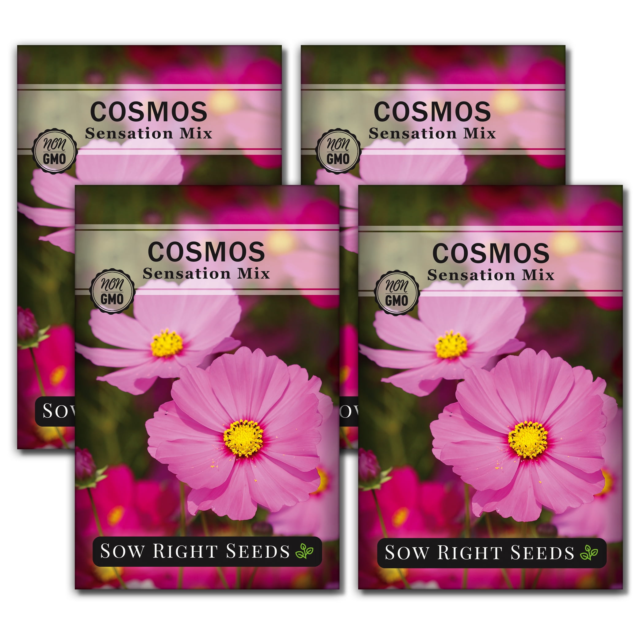 Sensation Mix Cosmos Seeds - Non GMO Heirloom Varieties for your Flower ...