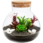 Mouse Glass Terrarium W/ Cork Lid - Walmart.com