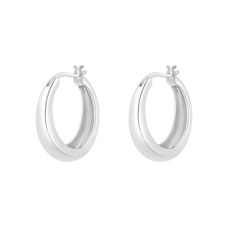 Sensitive Skin Stainless Steel Polished Hoop Earrings for Women ...