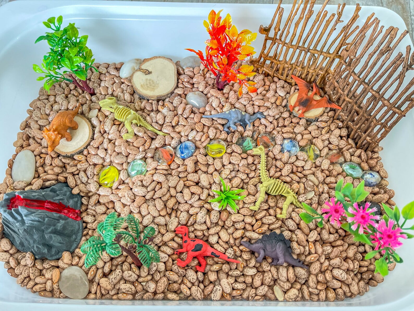Sensory-N-Stuff - Dinosaur Sensory Bin For kids - Dinosaur Sensory Bins ...