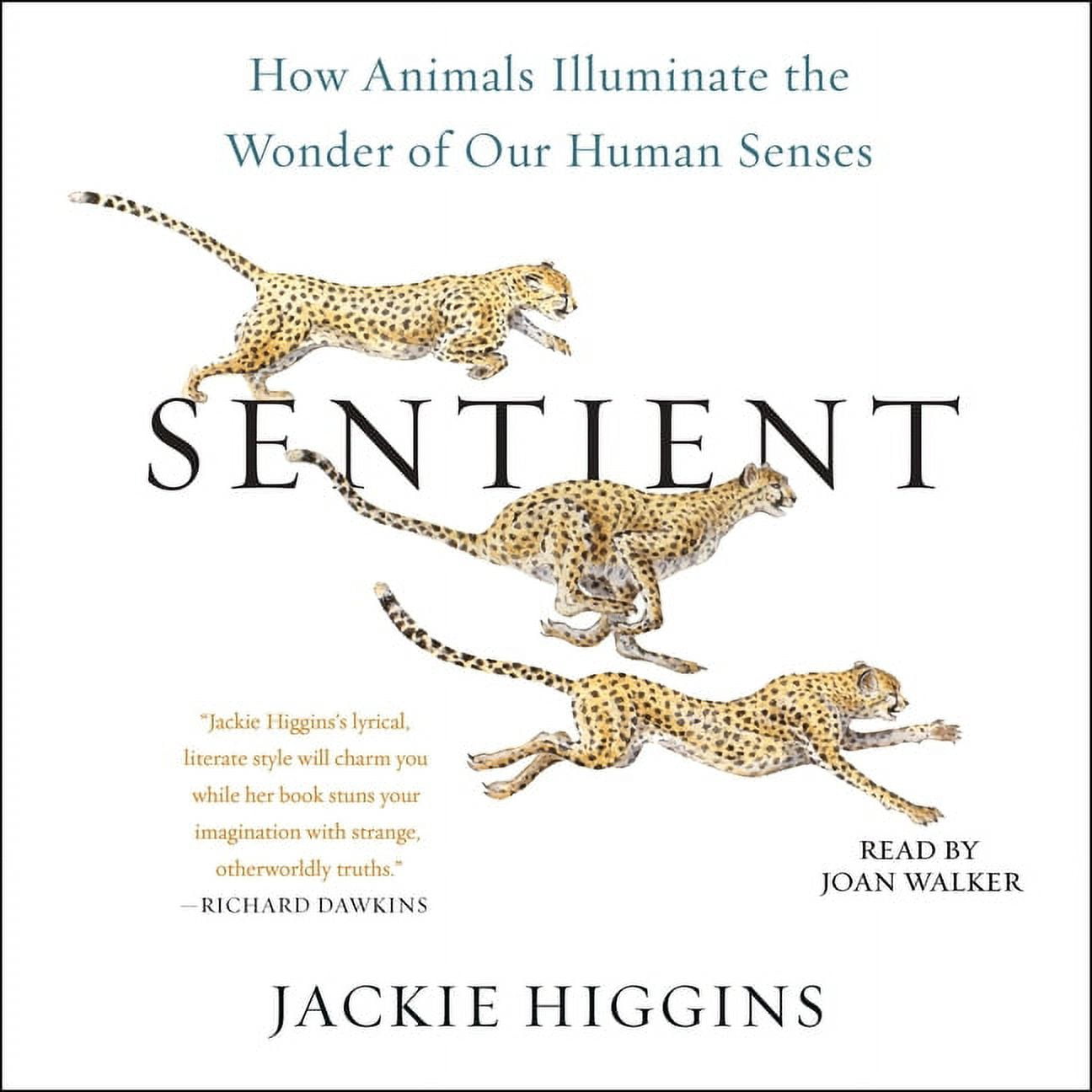Sentient : How Animals Illuminate the Wonder of Our Human Senses ...