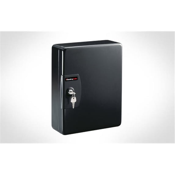 SentrySafe KB-25 Key Box - 25 Keys - Walmart.com