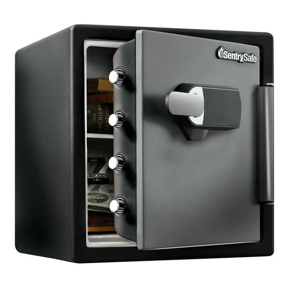 Sentrysafe Fire Safe