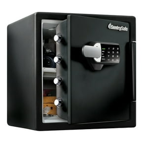Sentrysafe Fire Safe