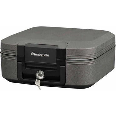 Sentry Safe Fire & Water Secure Box, 0.28 cu. ft, Gray CFW20201 ...