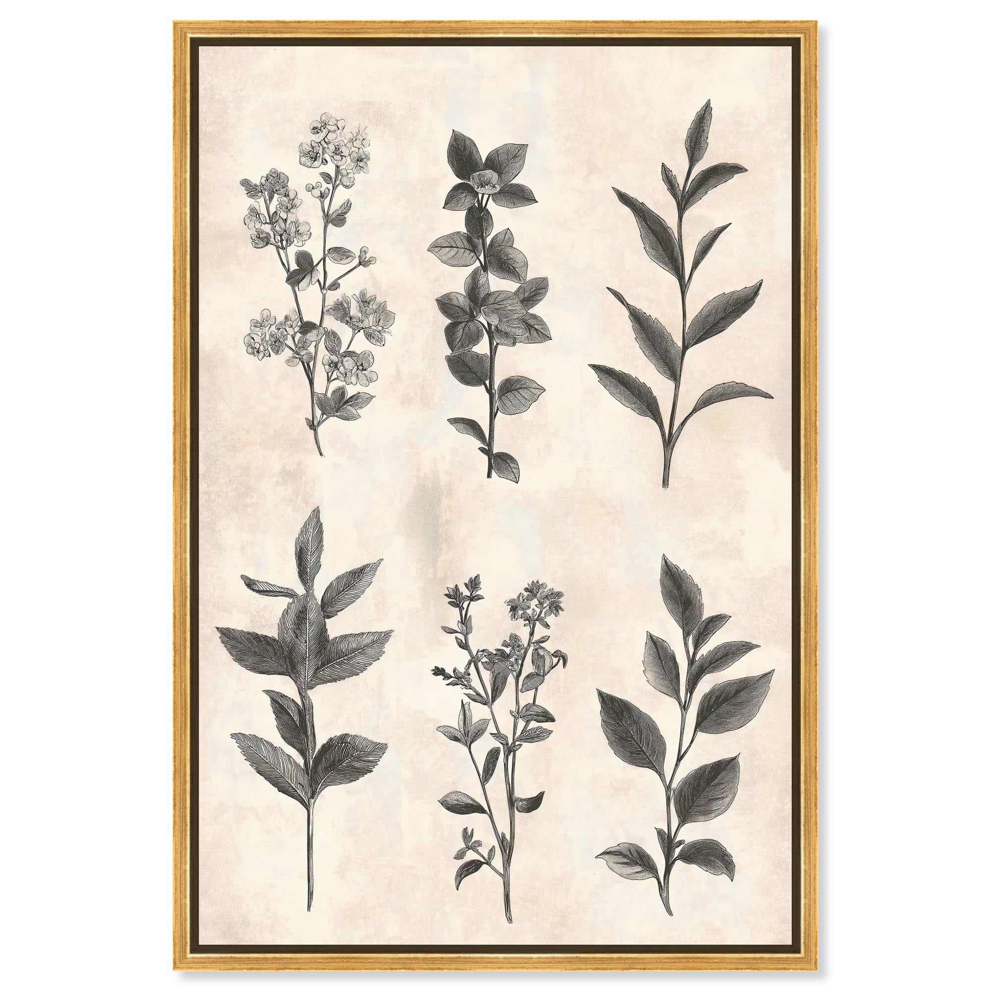 Sepia Stems Canvas Vintage Floral Art by Art Remedy, Gold Frame, 20 x ...