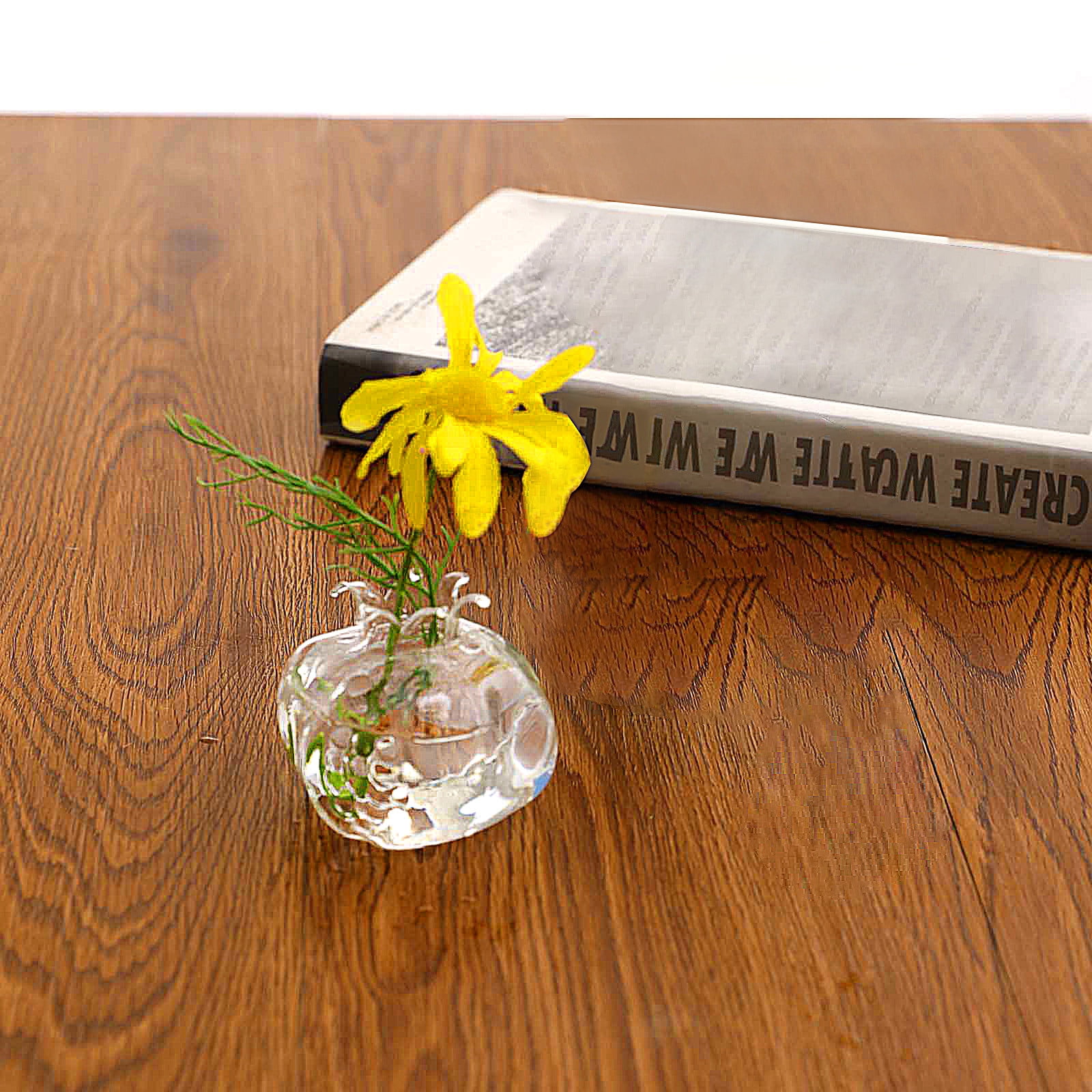 Seplovoe Pomegranate Glass Vase, Transparent Hydroponic Vase ...