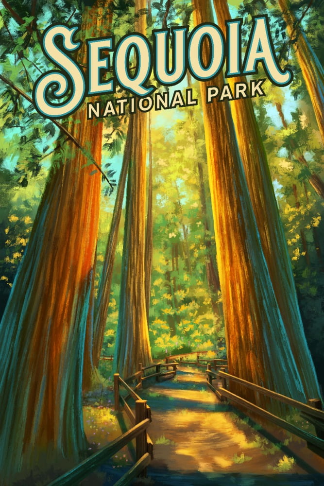 Sequoia National Park, California, Oil Painting (24x36 Giclee Gallery ...