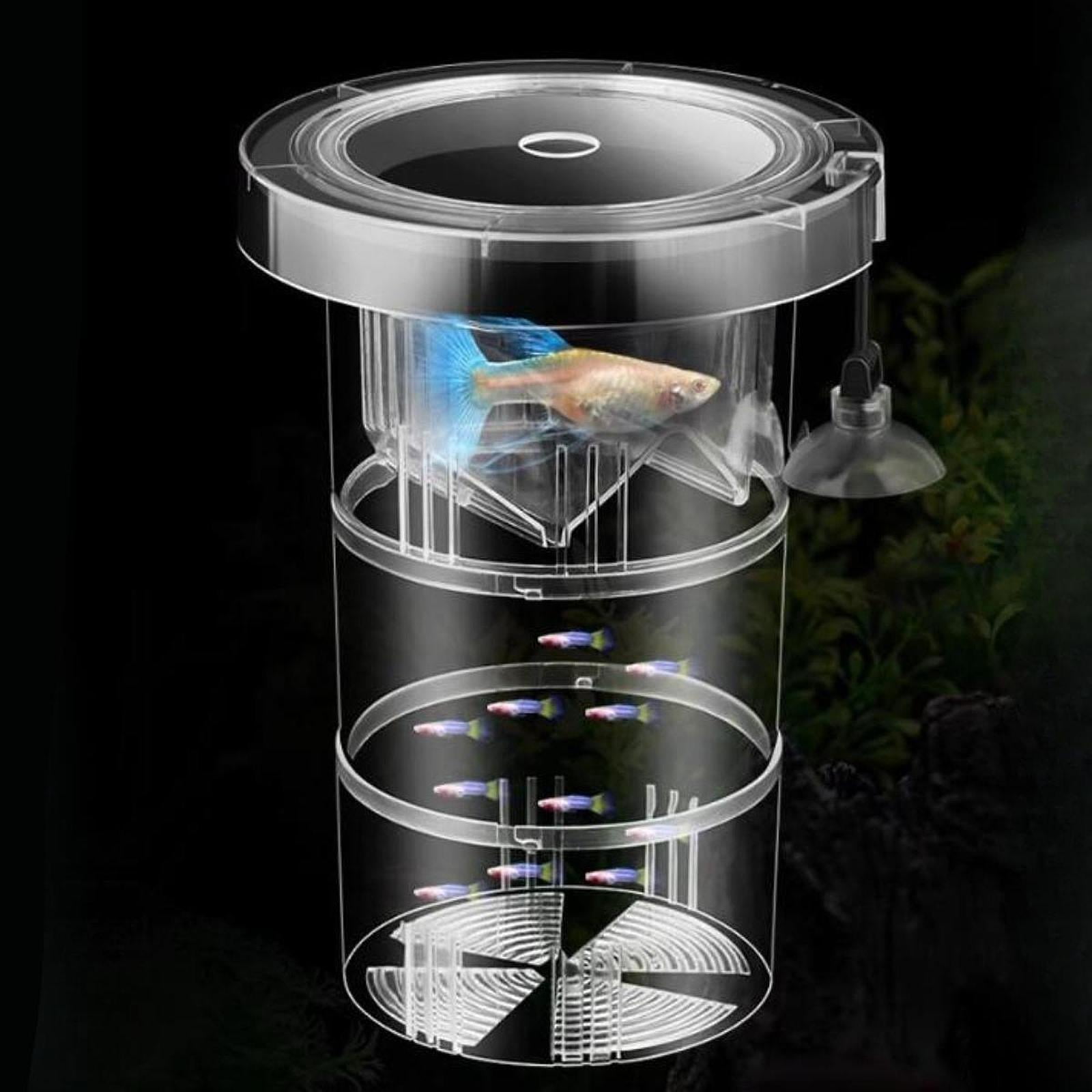 Serenable Breeding Box Hatching Boxes Breeder Accessories Transparent ...